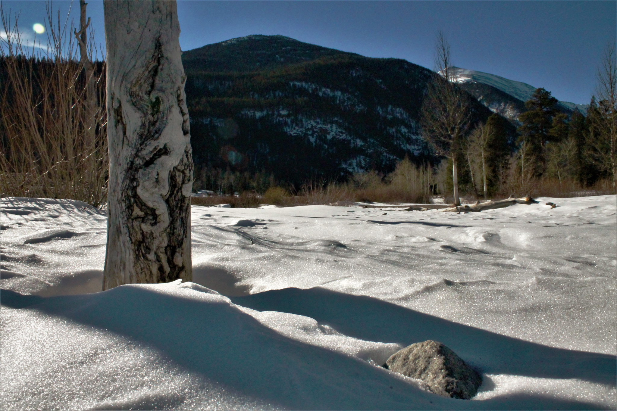 Snoasis | Rocky Mountain National Park | Rejuvenature Photo